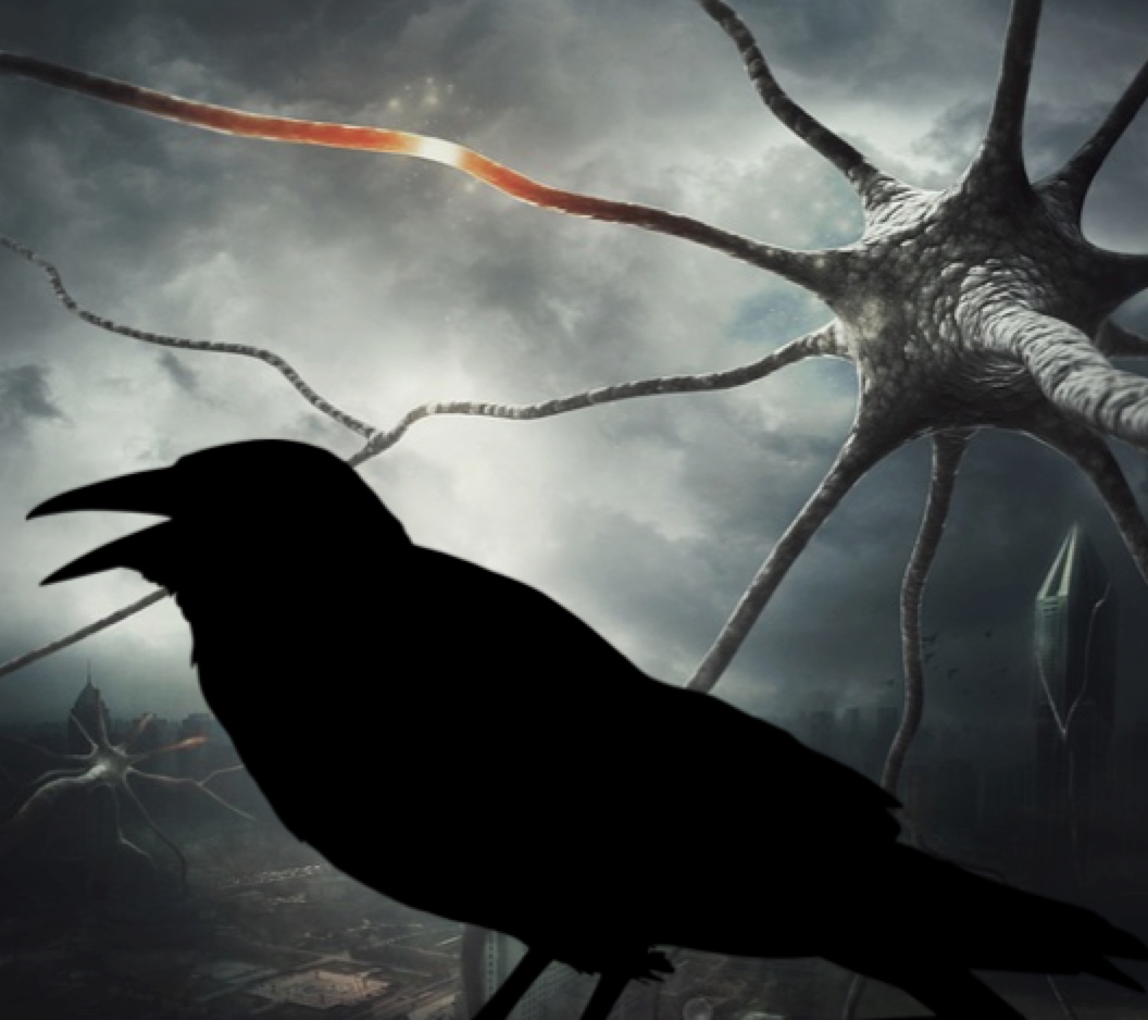 Oak, Ash, and Crow | Abyss & Apex