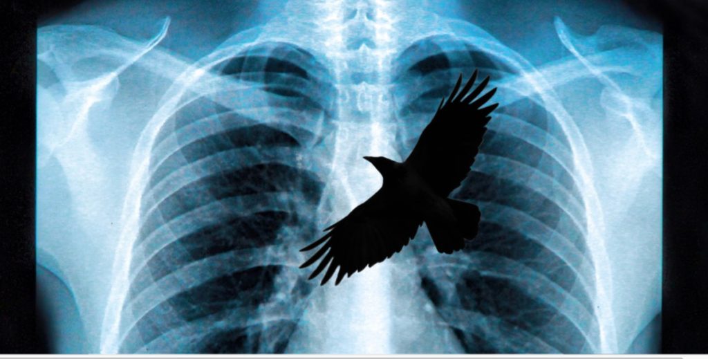 At Last, Clarity | Abyss & Apex